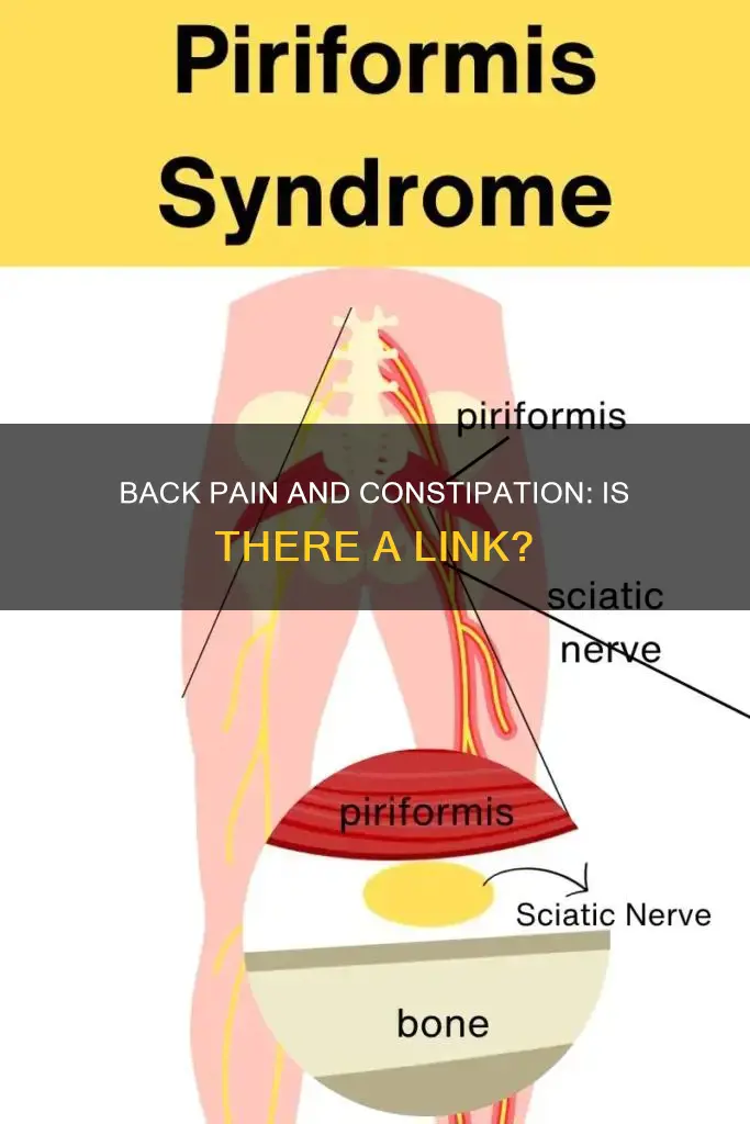 Back Pain And Constipation: Is There A Link? | CyVigor
