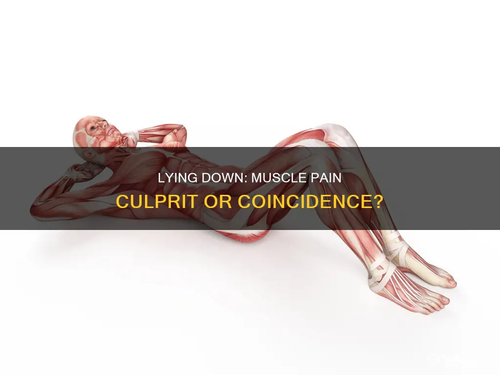 Lying Down: Muscle Pain Culprit Or Coincidence? | CyVigor