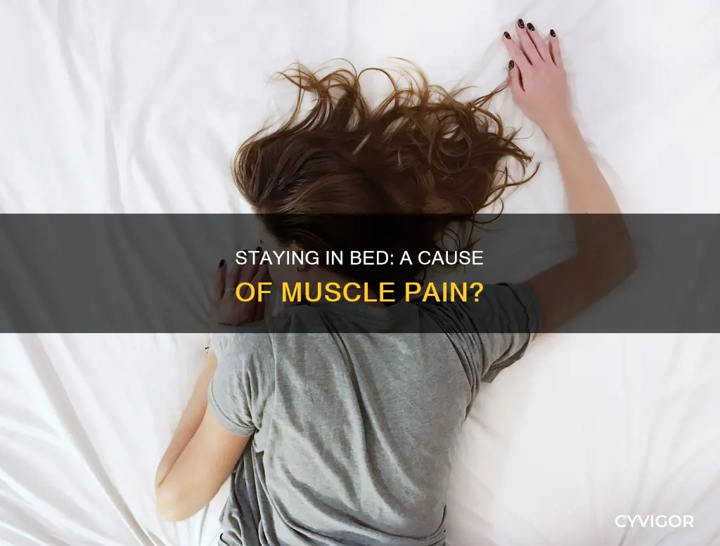 Staying In Bed: A Cause Of Muscle Pain? | CyVigor