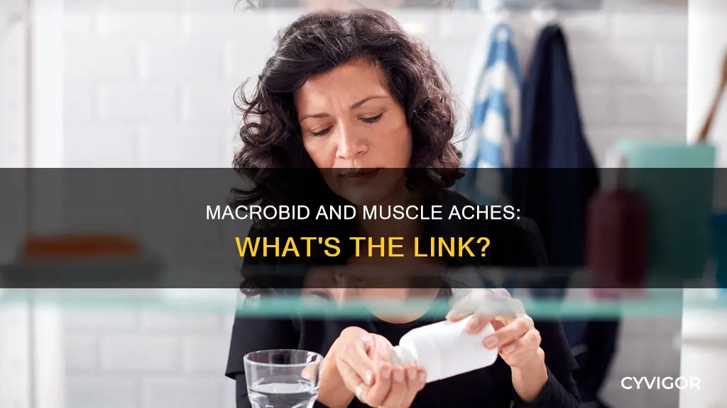 Macrobid And Muscle Aches: What's The Link? | CyVigor