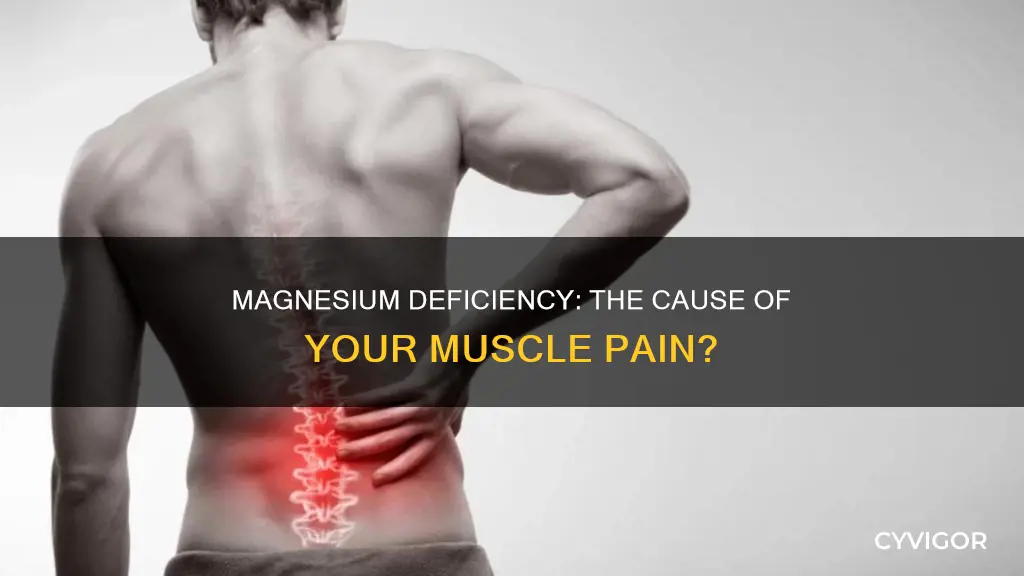 Magnesium Deficiency: The Cause Of Your Muscle Pain? | CyVigor