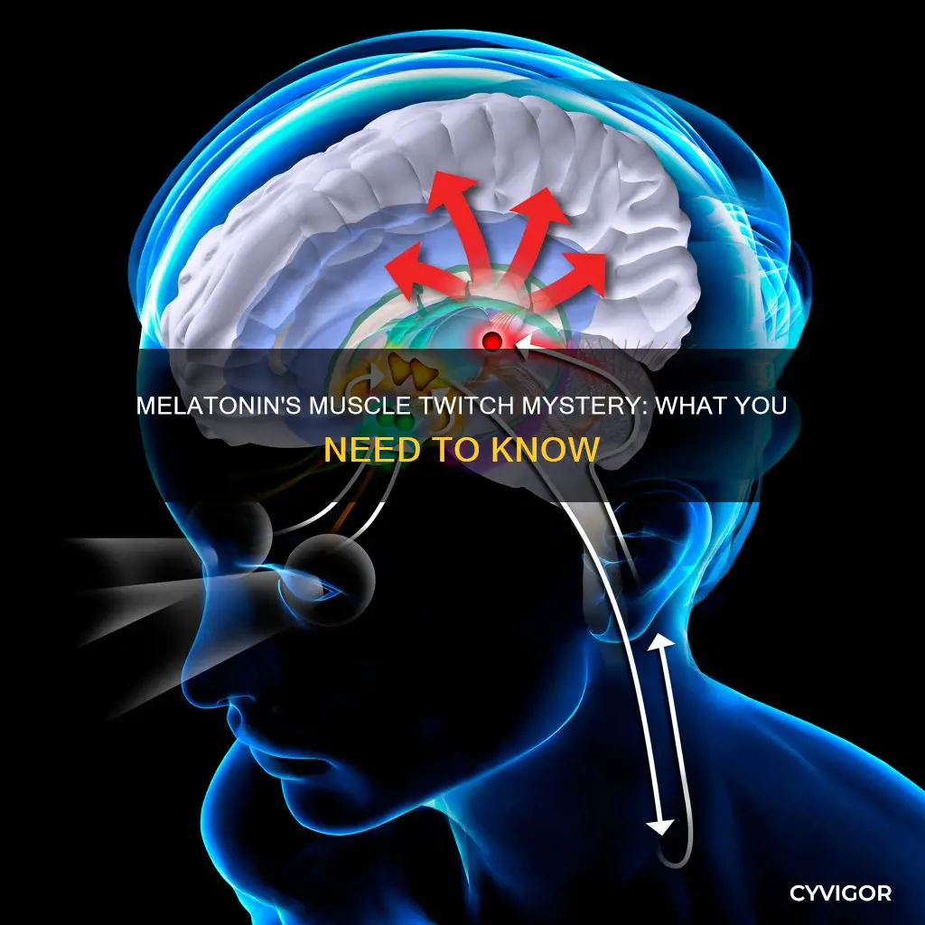 Melatonin's Muscle Twitch Mystery: What You Need To Know | CyVigor