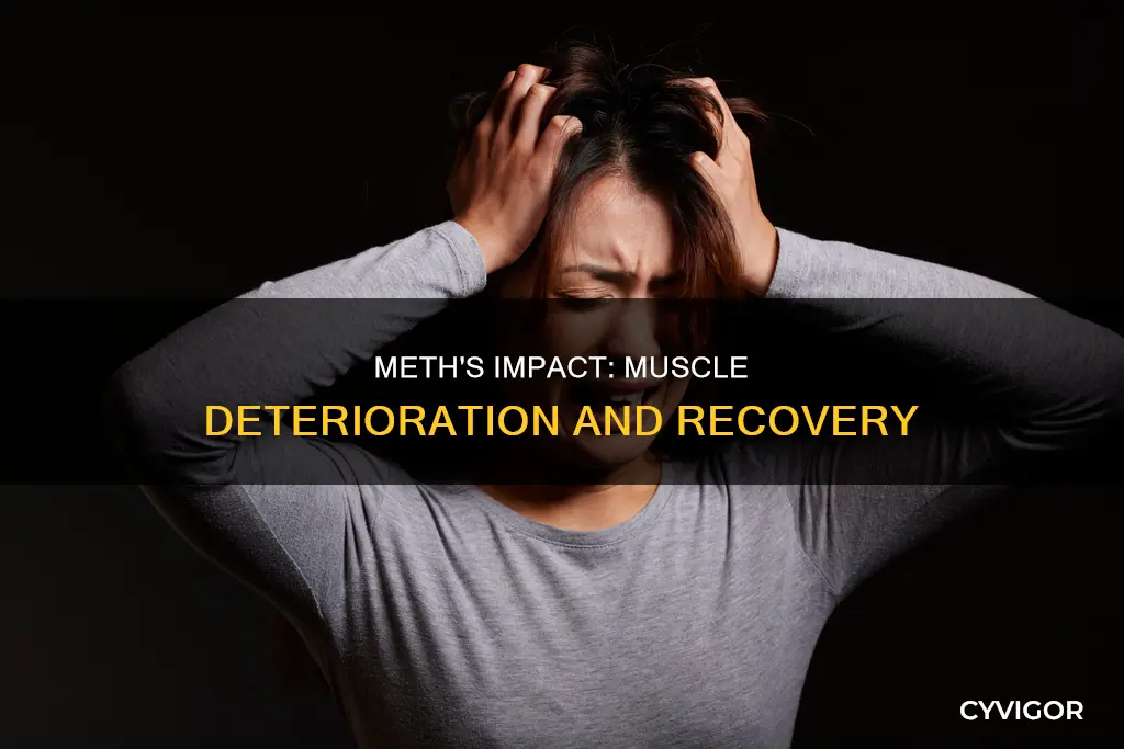 Meth's Impact: Muscle Deterioration And Recovery | CyVigor