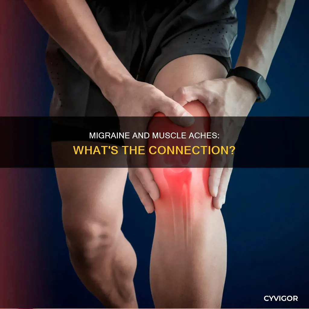 Migraine And Muscle Aches: What's The Connection? | CyVigor