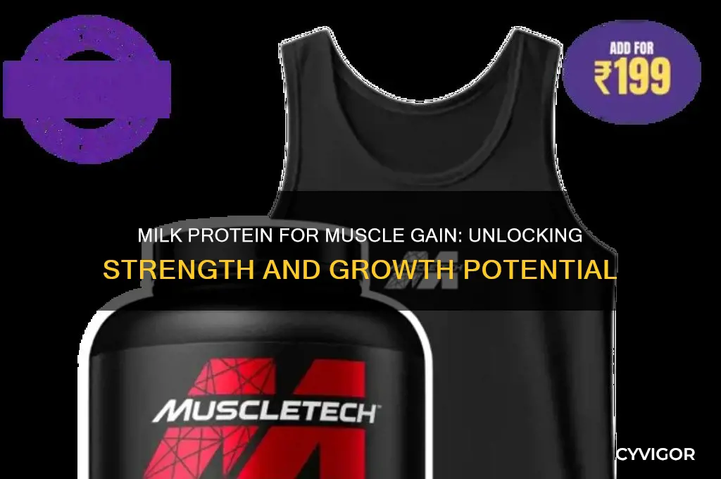 Milk Protein For Muscle Gain: Unlocking Strength And Growth Potential ...