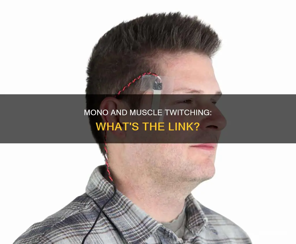 Mono And Muscle Twitching: What's The Link? | CyVigor