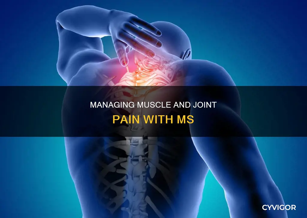 Managing Muscle And Joint Pain With Ms | CyVigor