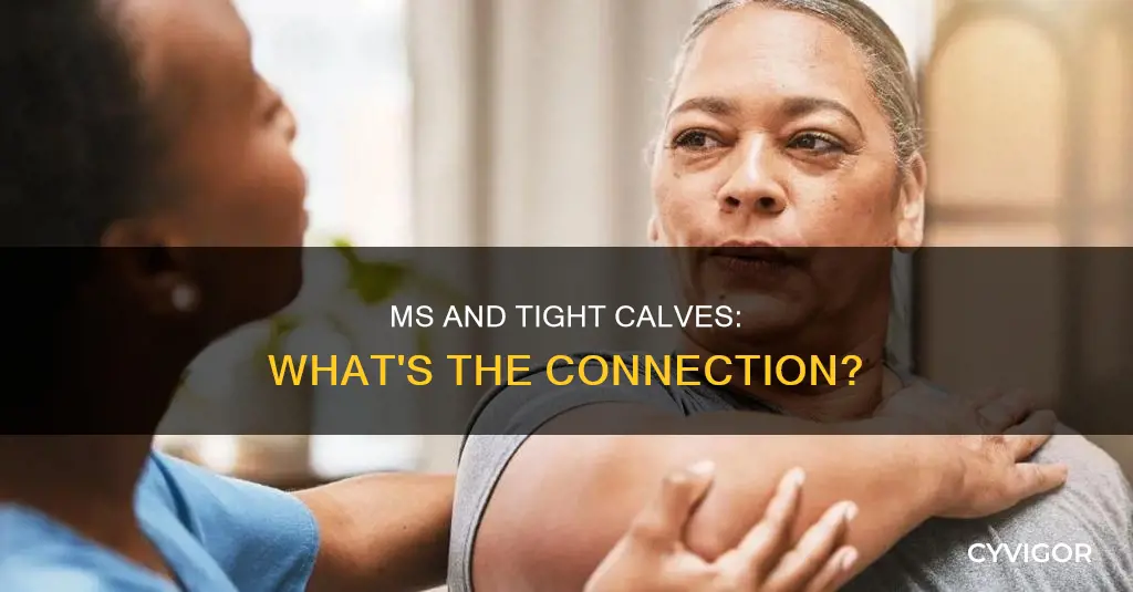 Ms And Tight Calves: What's The Connection? | CyVigor