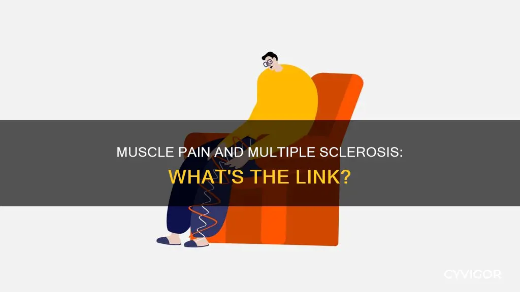 Muscle Pain And Multiple Sclerosis: What's The Link? | CyVigor