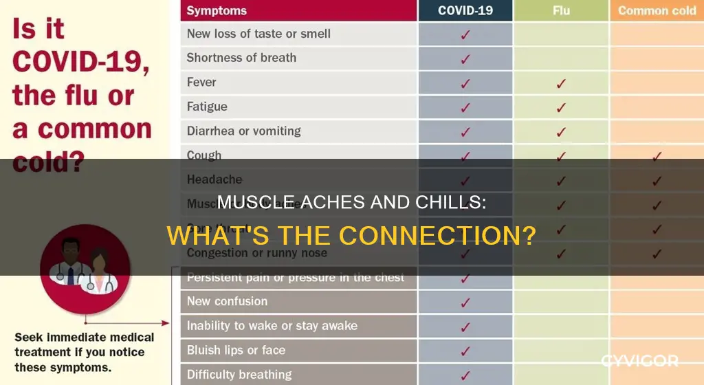 Muscle Aches And Chills: What's The Connection? | CyVigor