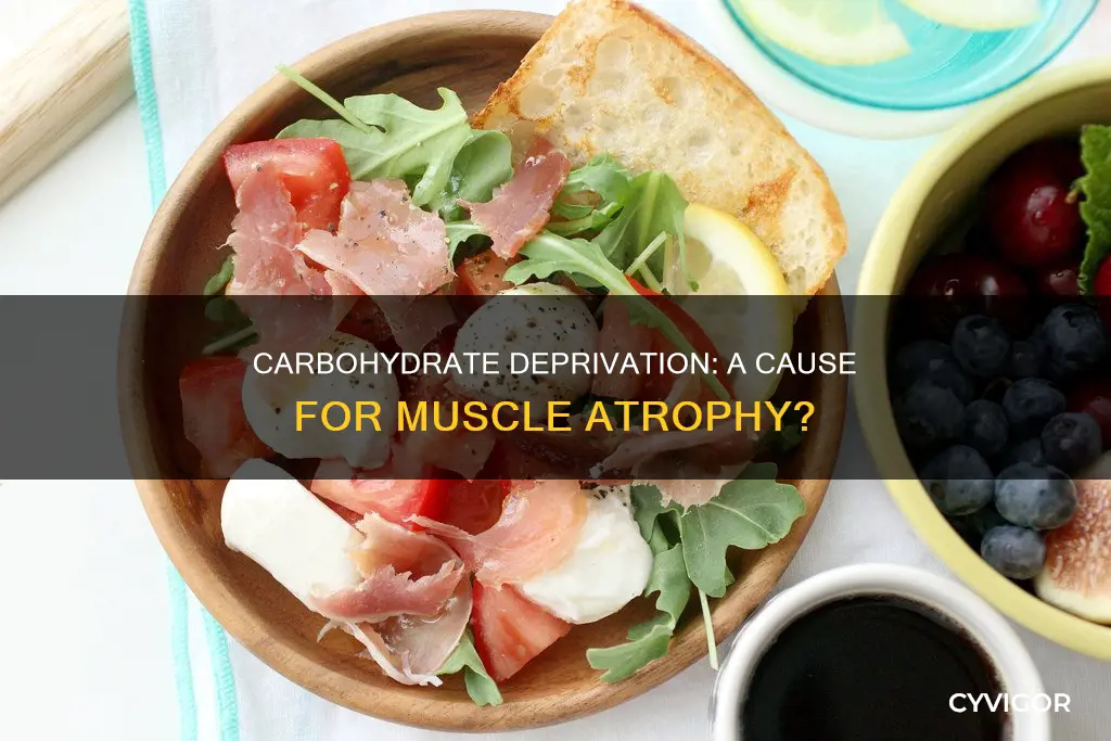 Carbohydrate Deprivation: A Cause For Muscle Atrophy? | CyVigor