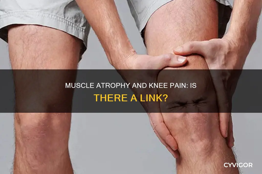 Muscle Atrophy And Knee Pain: Is There A Link? | CyVigor