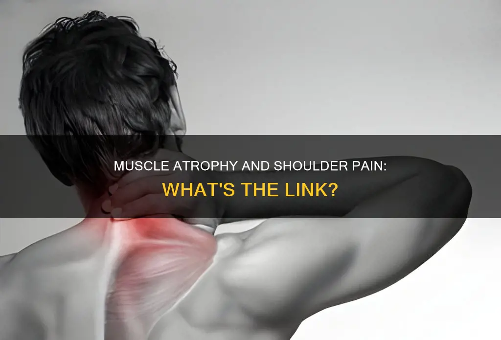 Muscle Atrophy And Shoulder Pain: What's The Link? | CyVigor