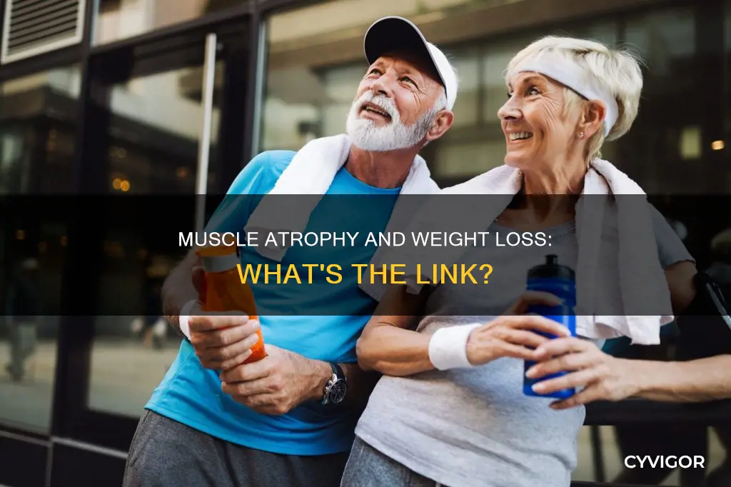 Muscle Atrophy And Weight Loss: What's The Link? | CyVigor