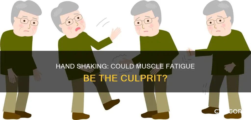 Hand Shaking: Could Muscle Fatigue Be The Culprit? | CyVigor