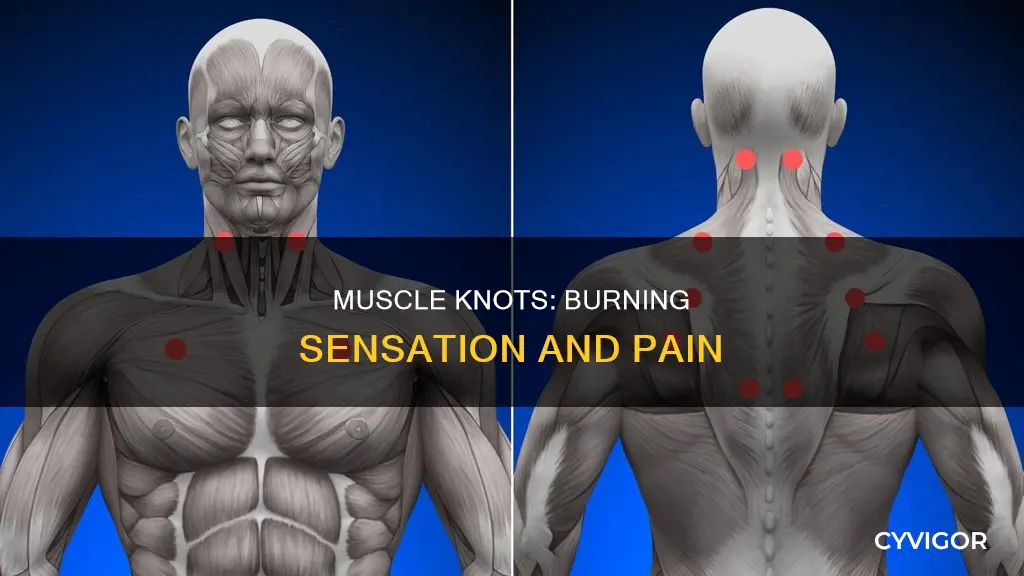 Muscle Knots: Burning Sensation And Pain | CyVigor