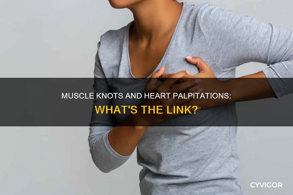 Muscle Knots And Heart Palpitations: What's The Link? | CyVigor
