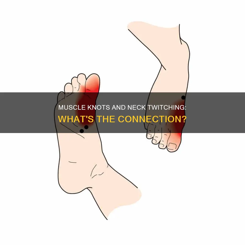 Muscle Knots And Neck Twitching: What's The Connection? | CyVigor