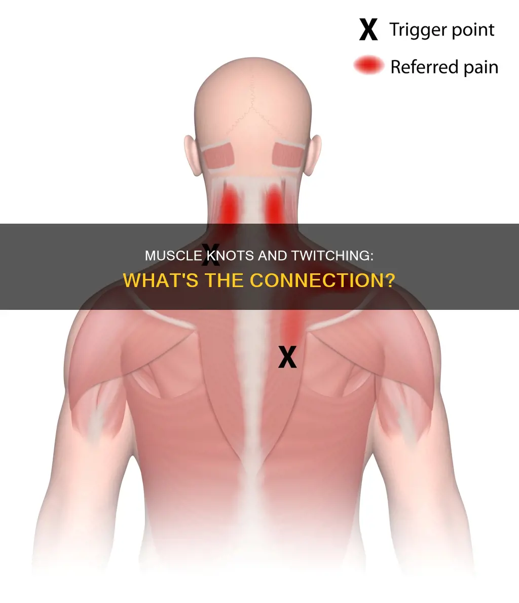 Muscle Knots And Twitching: What's The Connection? | CyVigor