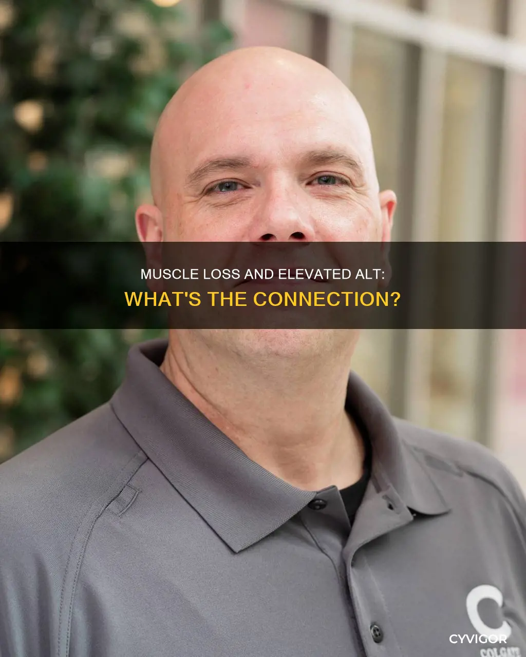 Muscle Loss And Elevated Alt: What's The Connection? | CyVigor