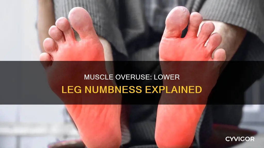Muscle Overuse: Lower Leg Numbness Explained | CyVigor