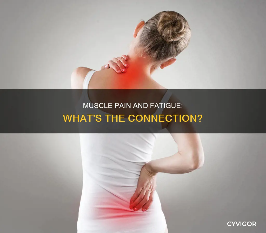 Muscle Pain And Fatigue: What's The Connection? | CyVigor
