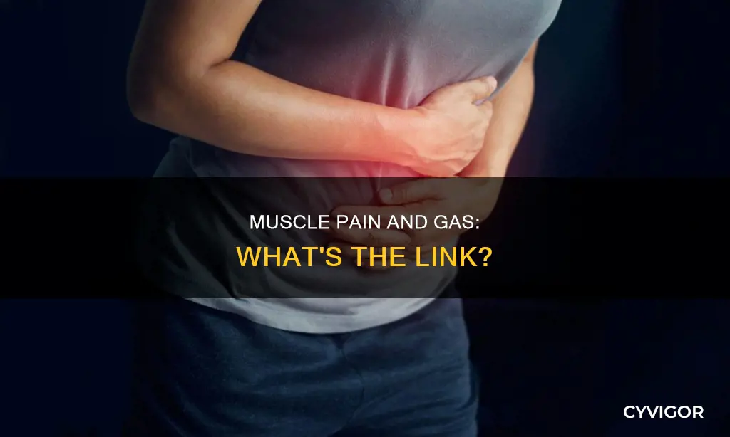 Muscle Pain And Gas: What's The Link? | CyVigor