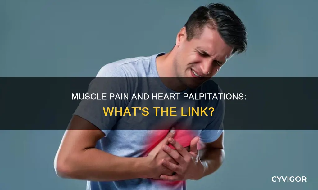 Muscle Pain And Heart Palpitations: What's The Link? | CyVigor