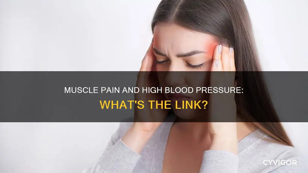Muscle Pain And High Blood Pressure: What's The Link? | CyVigor