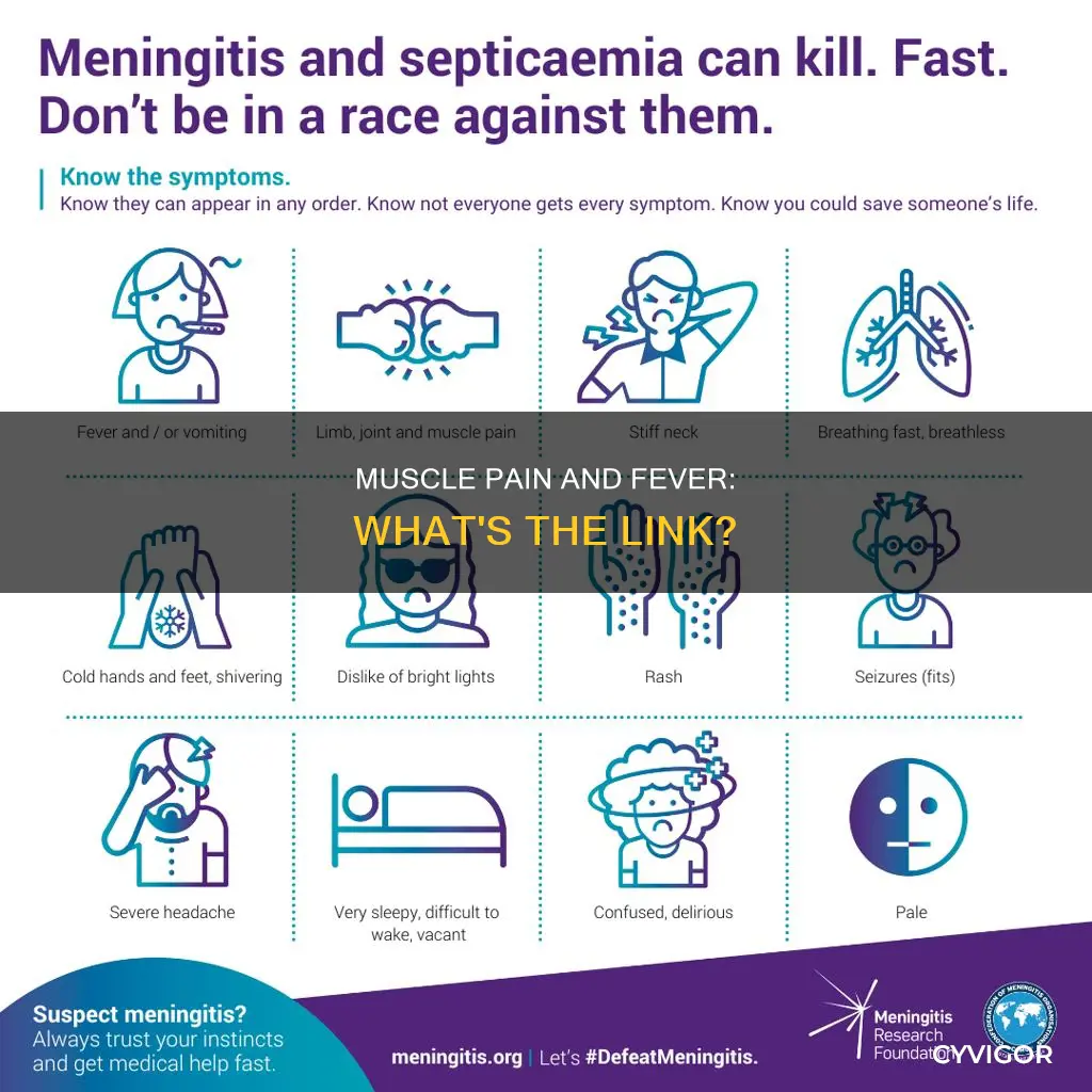 Muscle Pain And Fever: What's The Link? | CyVigor