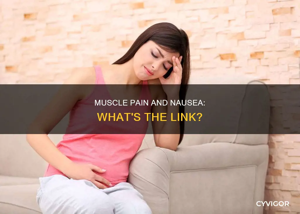 Muscle Pain And Nausea: What's The Link? | CyVigor