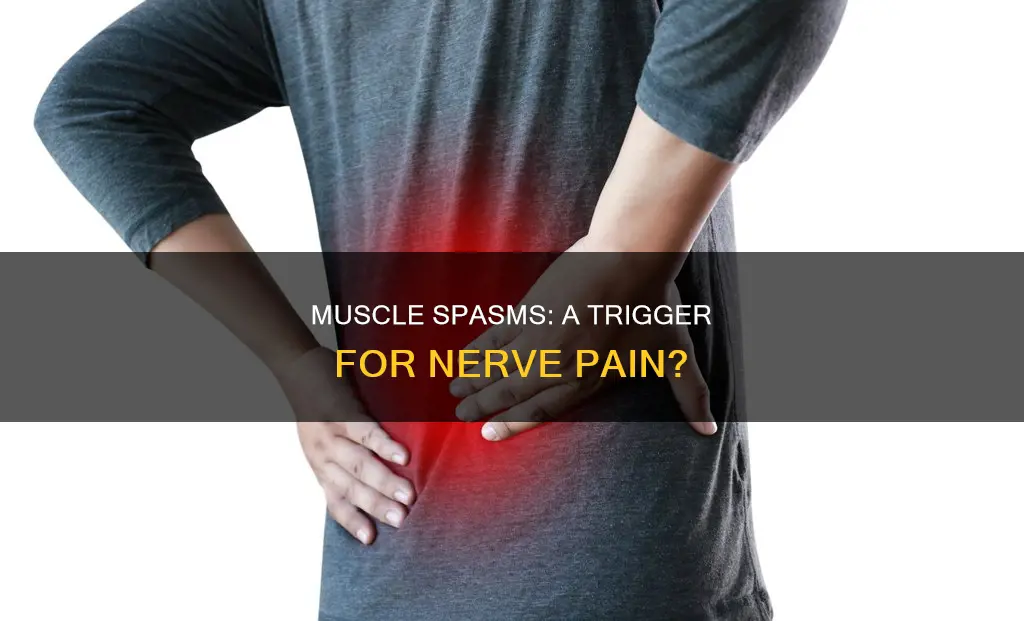 Muscle Spasms: A Trigger For Nerve Pain? | CyVigor