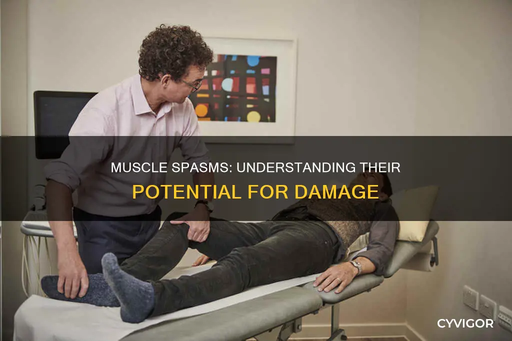 Muscle Spasms: Understanding Their Potential For Damage | CyVigor