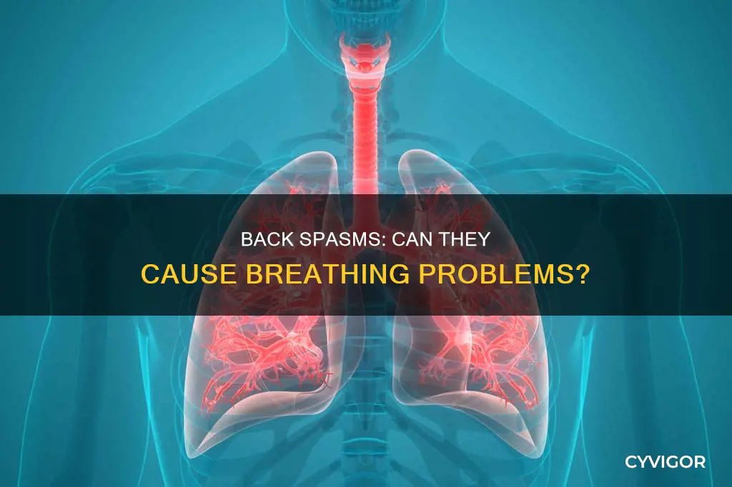 Back Spasms: Can They Cause Breathing Problems? | CyVigor