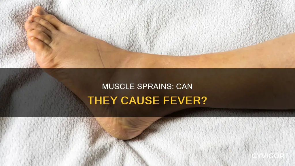 Muscle Sprains: Can They Cause Fever? | CyVigor
