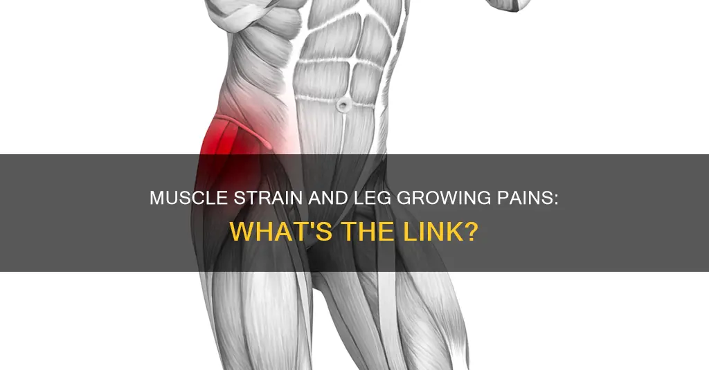 Muscle Strain And Leg Growing Pains: What's The Link? | CyVigor