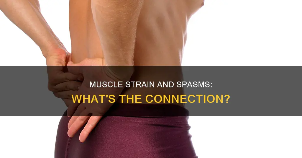 Muscle Strain And Spasms: What's The Connection? | CyVigor