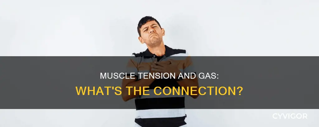 Muscle Tension And Gas: What's The Connection? | CyVigor