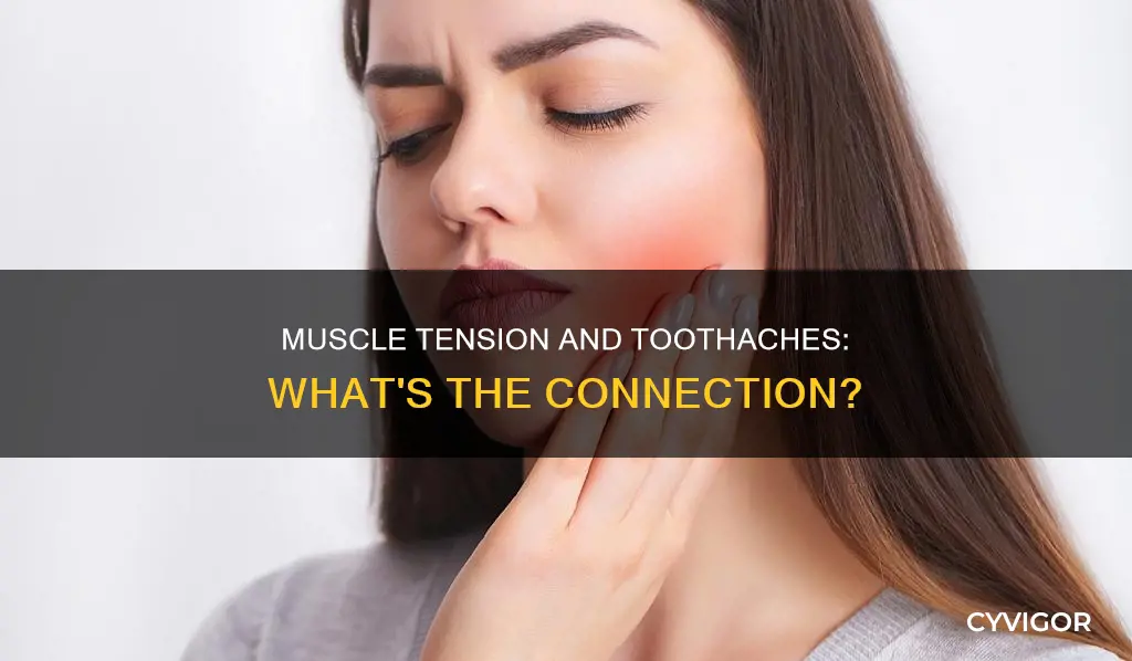 Muscle Tension And Toothaches: What's The Connection? | CyVigor