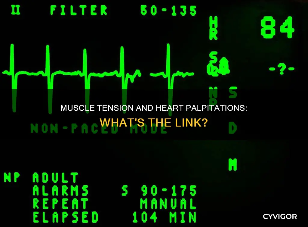 Muscle Tension And Heart Palpitations: What's The Link? | CyVigor