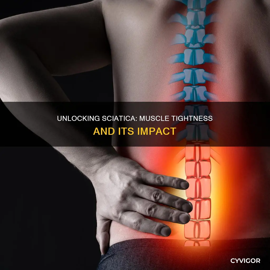 Unlocking Sciatica: Muscle Tightness And Its Impact | CyVigor