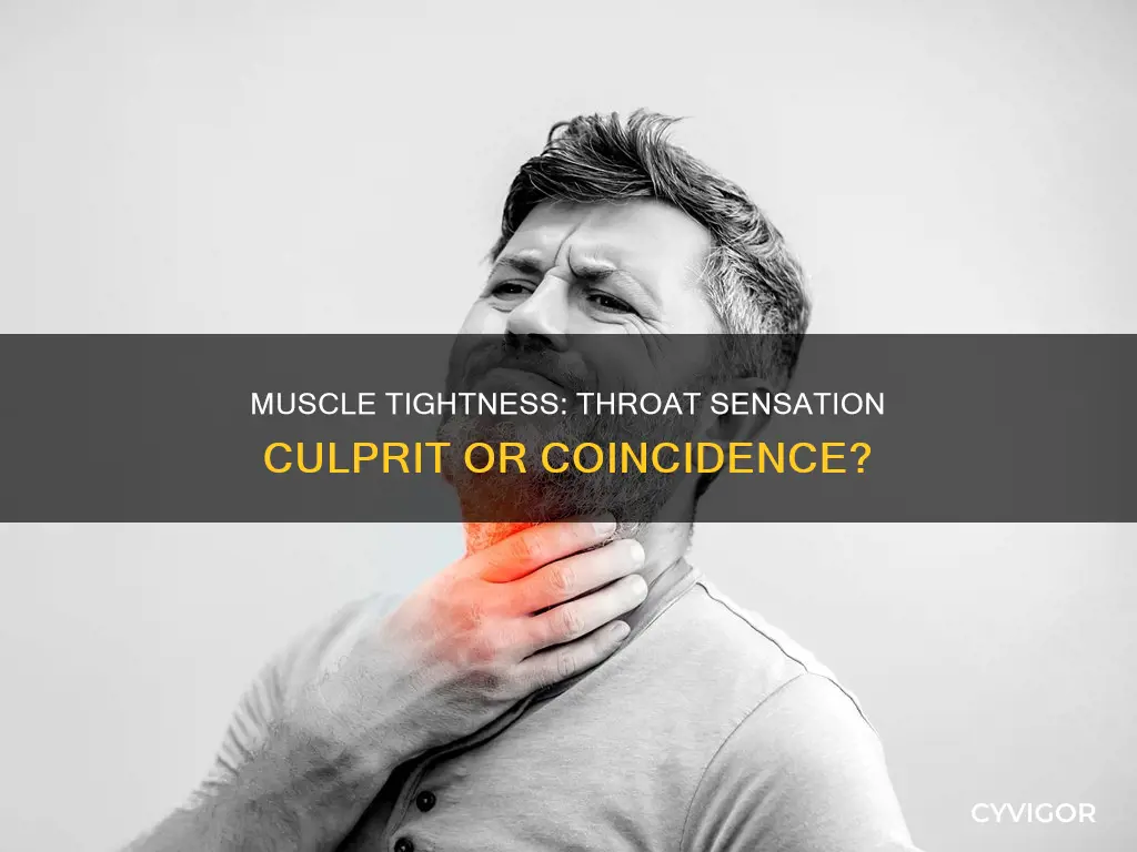 Muscle Tightness: Throat Sensation Culprit Or Coincidence? | CyVigor