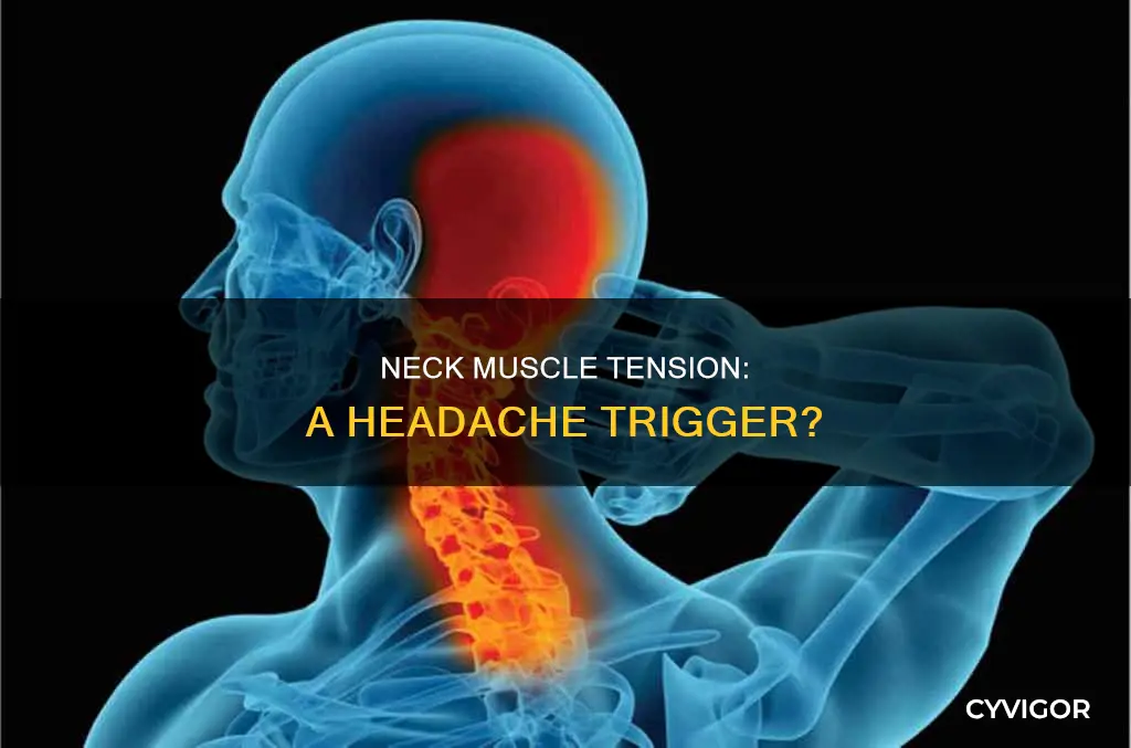 Neck Muscle Tension: A Headache Trigger? | CyVigor