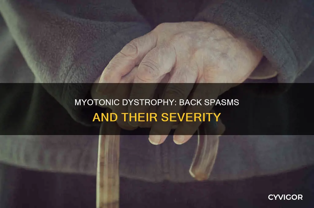 Myotonic Dystrophy: Back Spasms And Their Severity | CyVigor