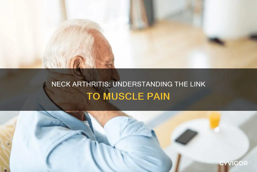 Neck Arthritis: Understanding The Link To Muscle Pain | CyVigor