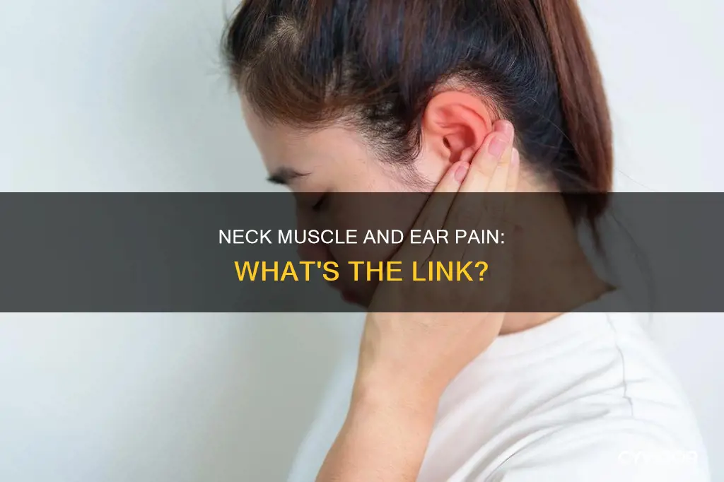 Neck Muscle And Ear Pain: What's The Link? | CyVigor