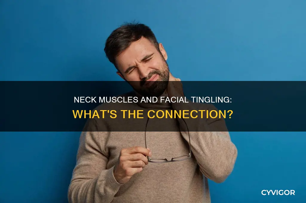 Neck Muscles And Facial Tingling: What's The Connection? | CyVigor