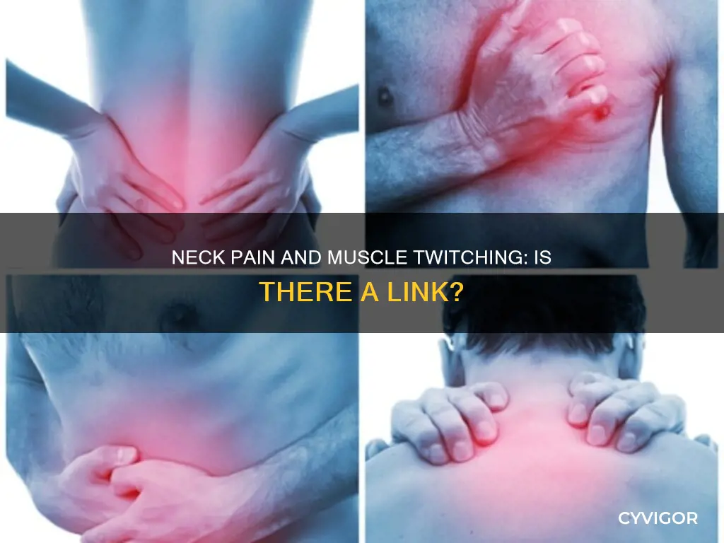 Neck Pain And Muscle Twitching: Is There A Link? | CyVigor