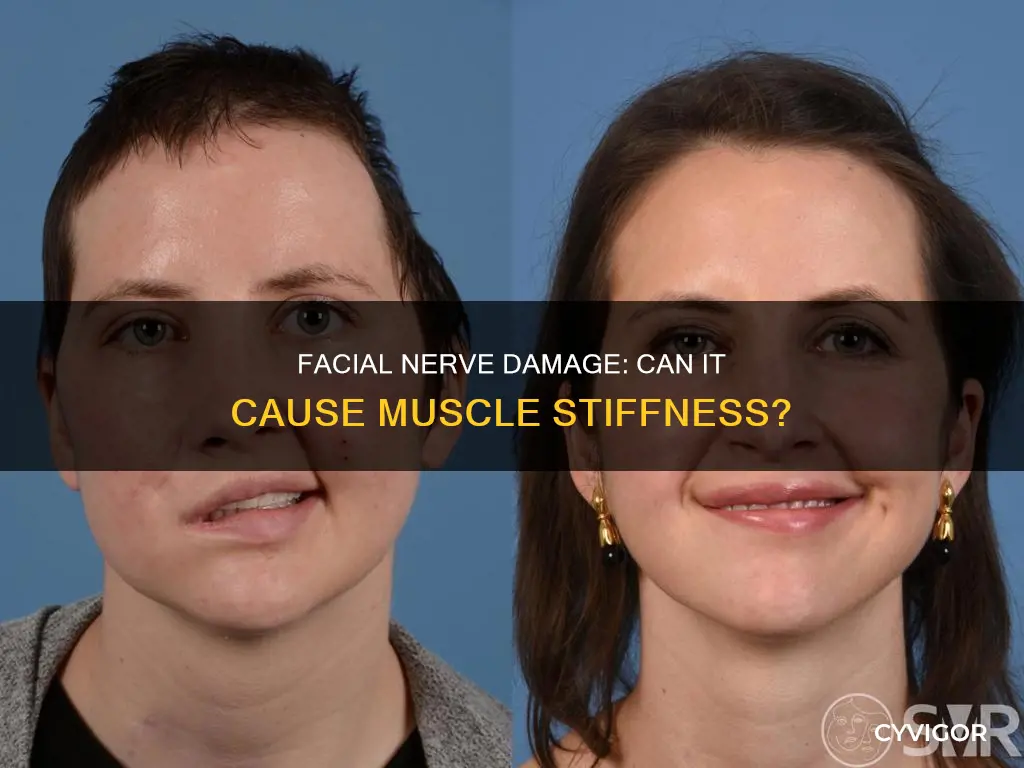 Facial Nerve Damage: Can It Cause Muscle Stiffness? | CyVigor