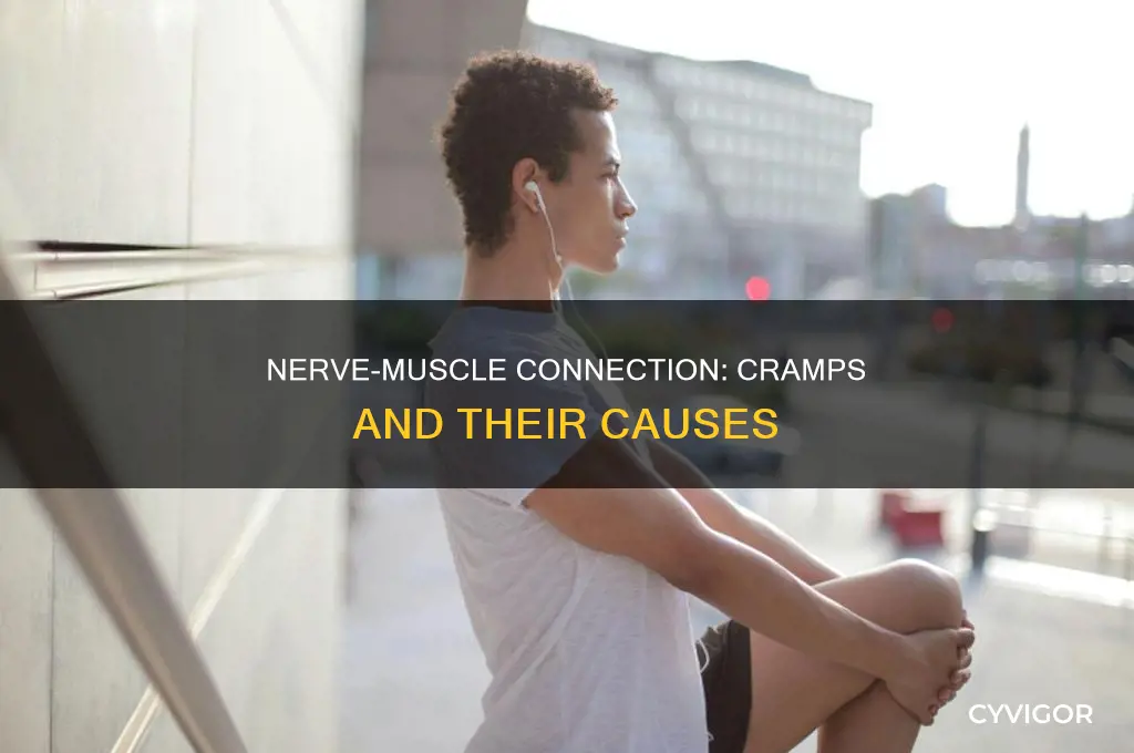 Nerve-Muscle Connection: Cramps And Their Causes | CyVigor